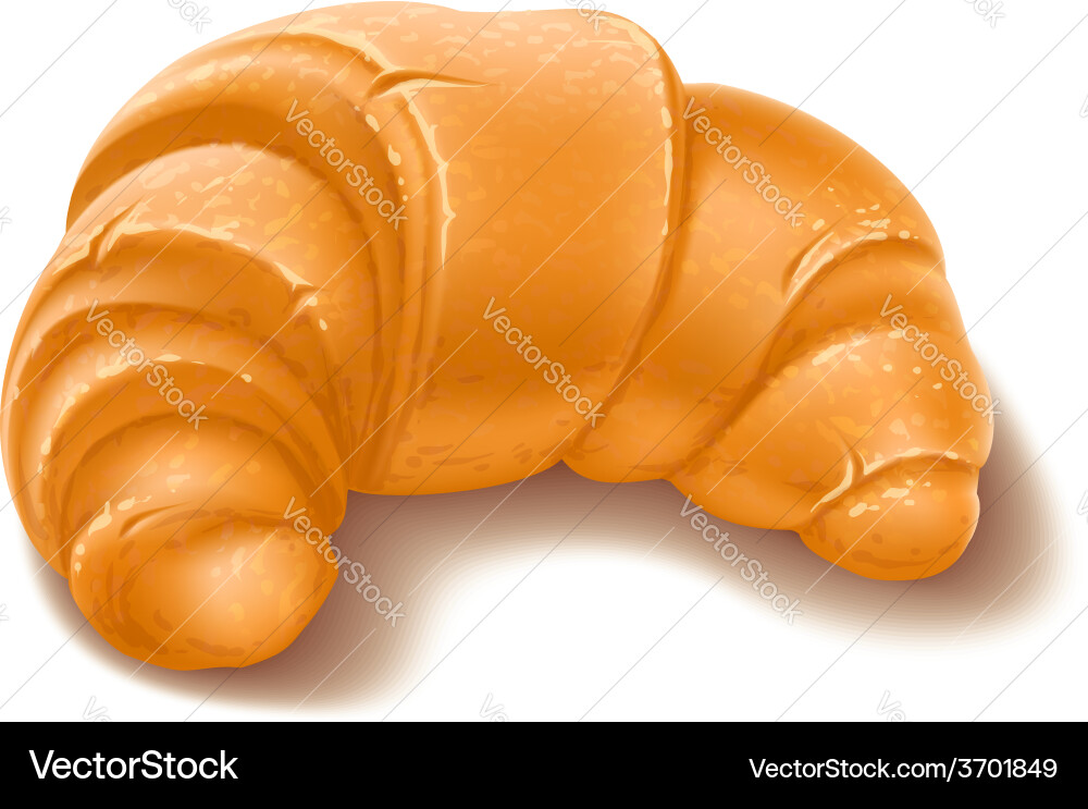 Crispy croissant for breakfast Royalty Free Vector Image