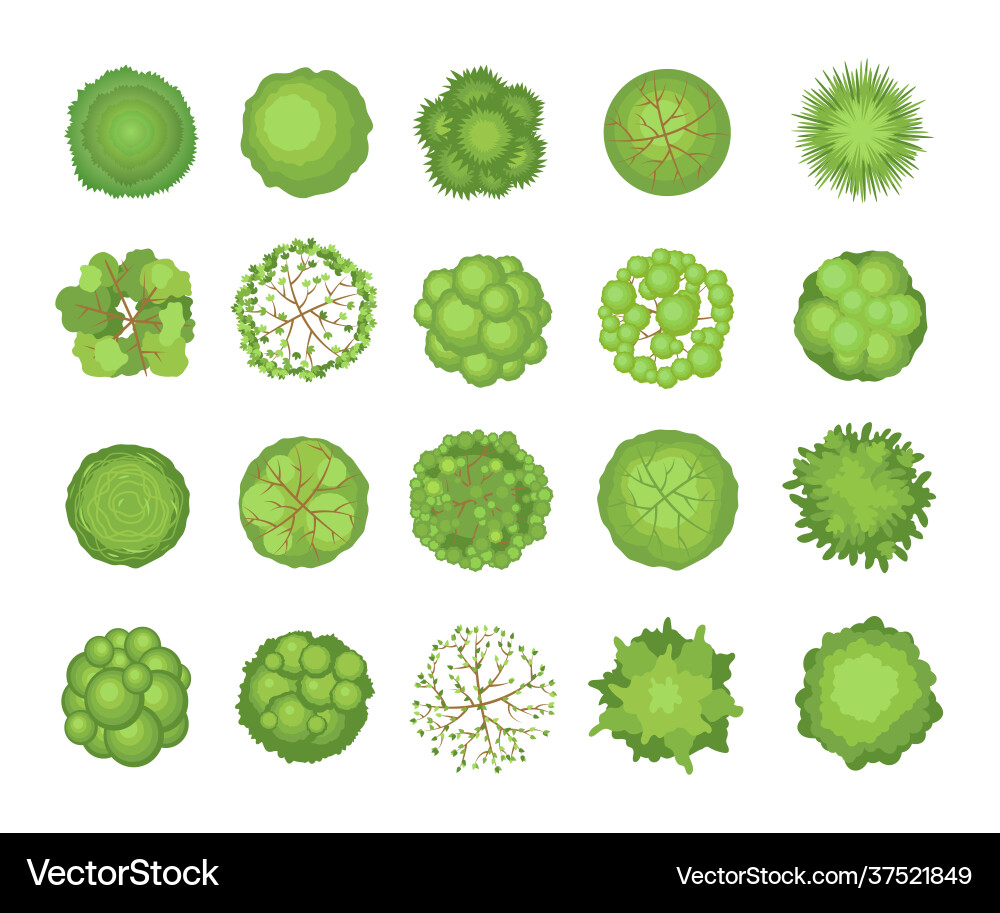 Tree Top Down Vector Images (over 180)