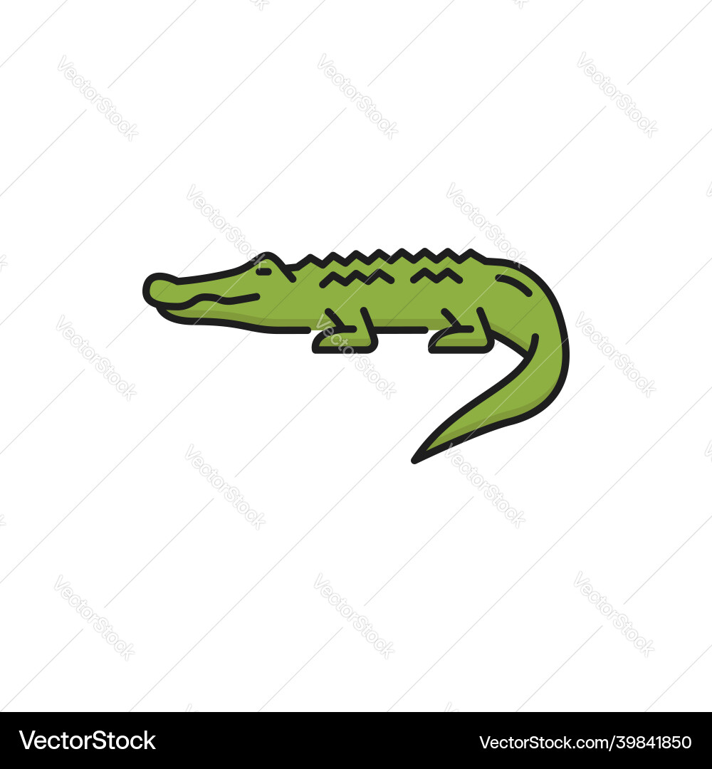 American Alligator Icon Royalty Free Vector Image