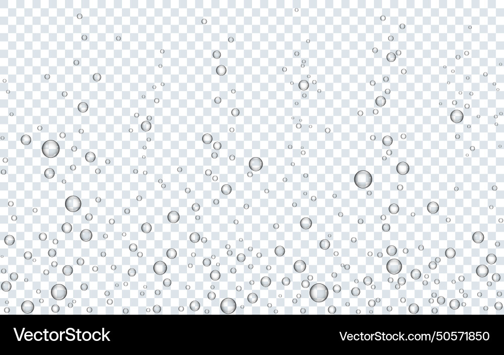 Bubbles water underwater sparks on transparent Vector Image