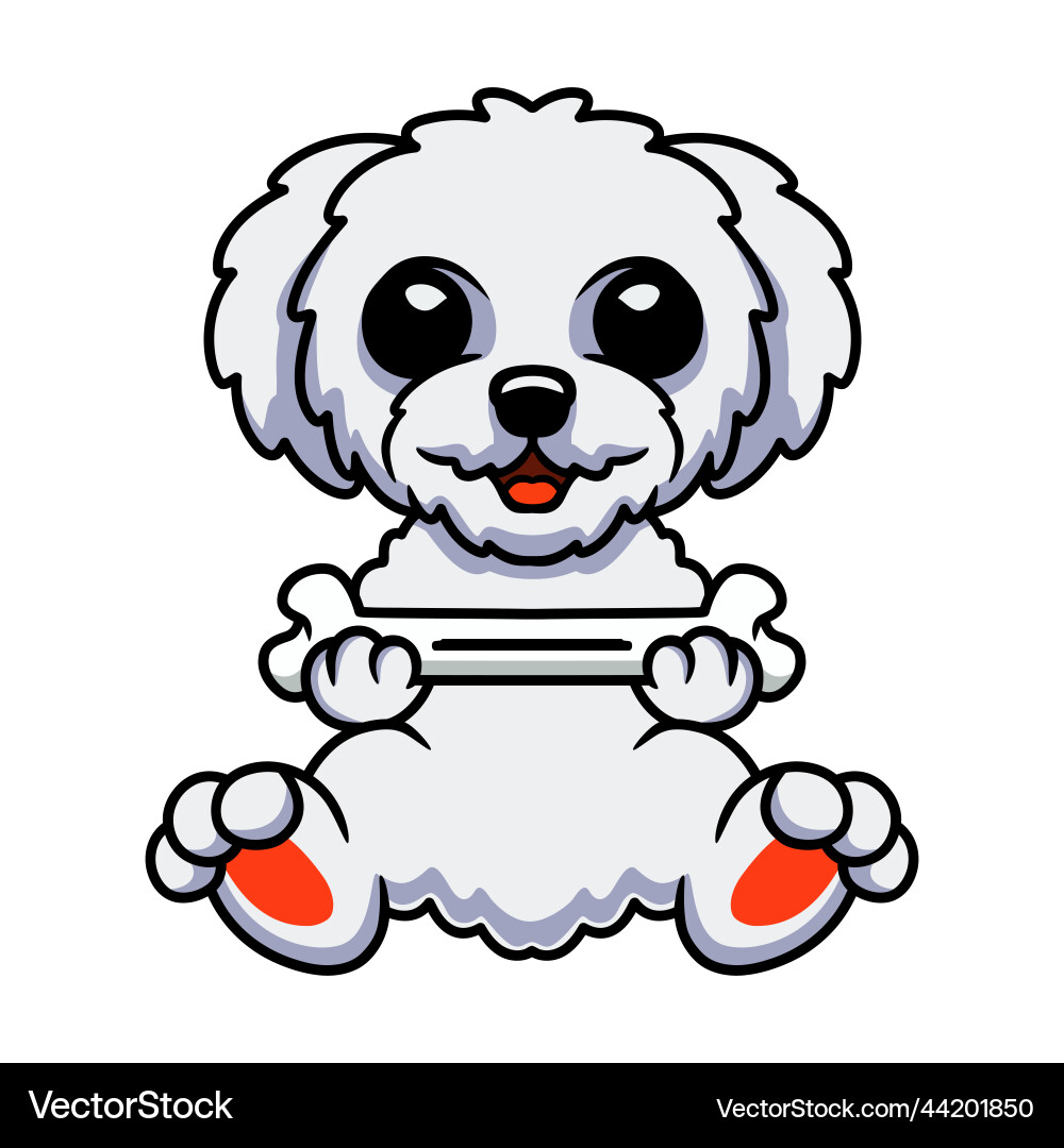 Cute bichon frise cartoon holding a bone Vector Image