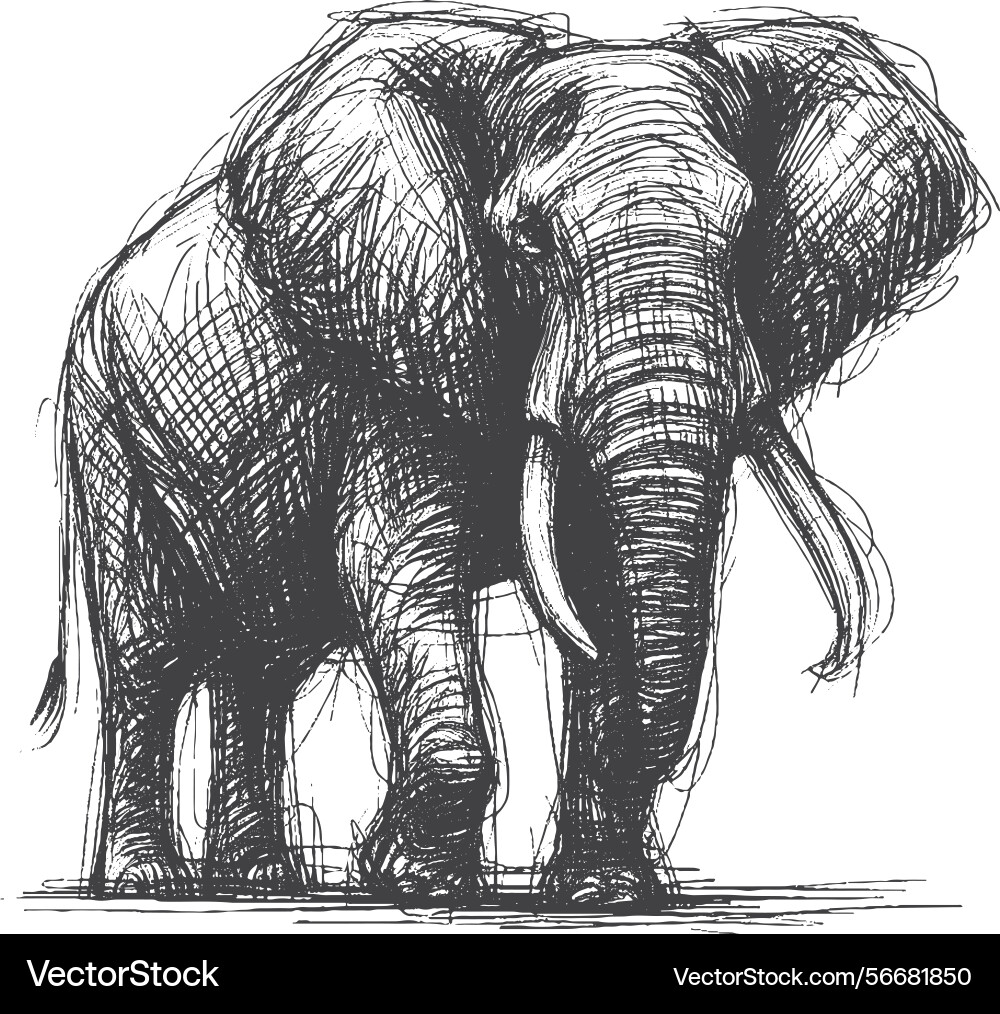 Aztec Elephant Drawing Side View