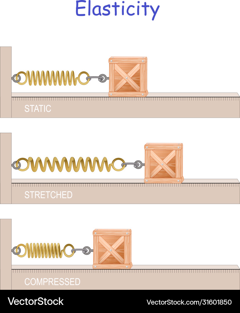 Hooke's Law & Elastic Potential Energy – Royalty-Free Vector | VectorStock