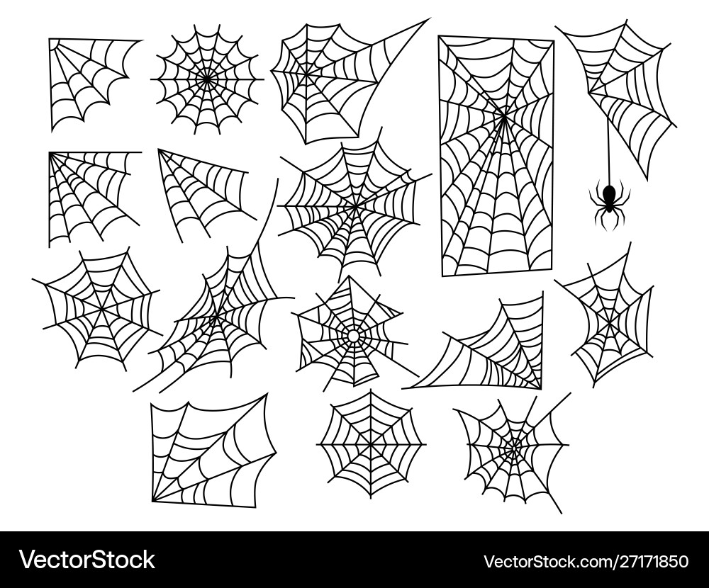 Spooky Spider Web Silhouettes Royalty Free Vector Image