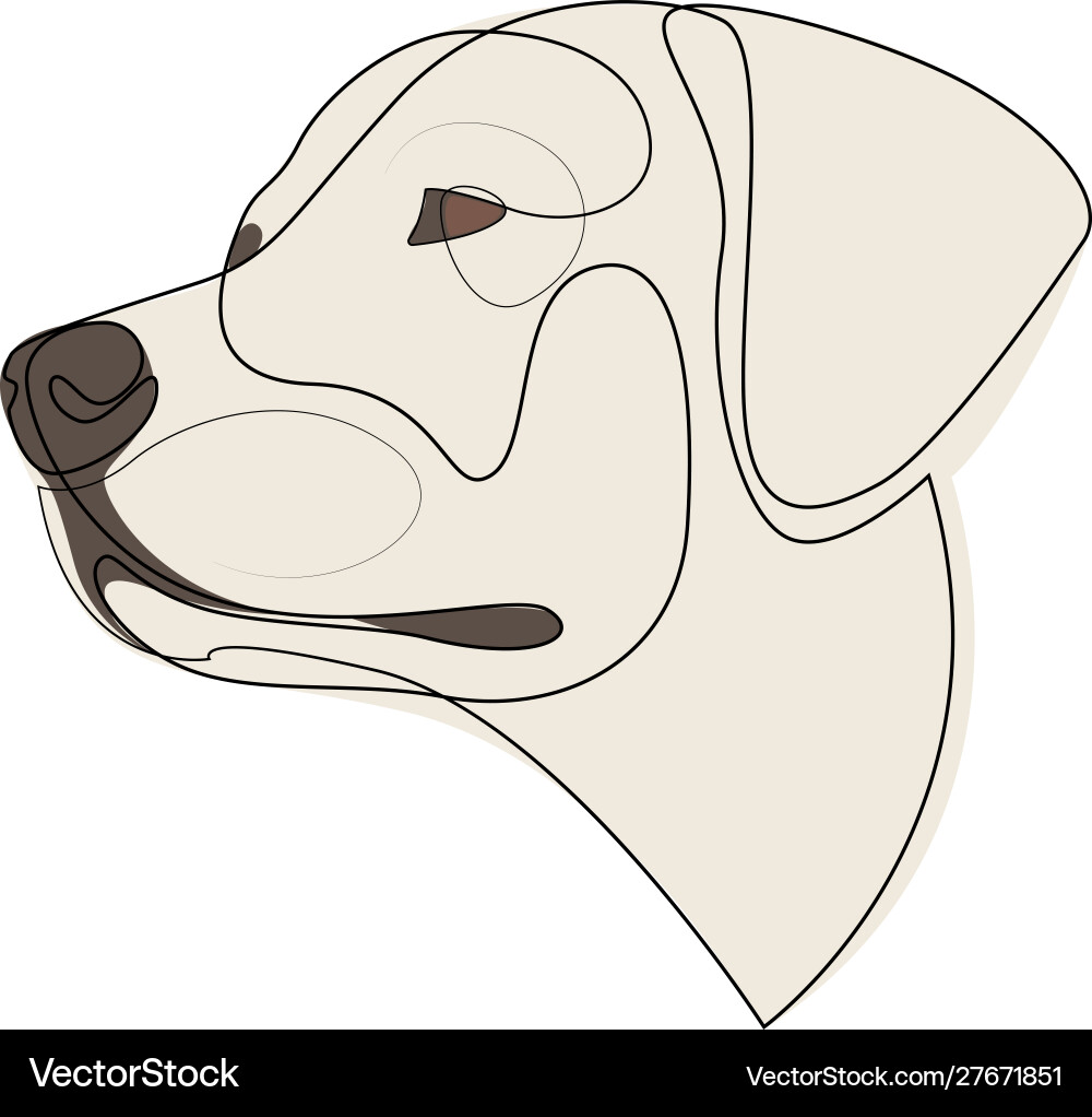 Continuous line labrador retriever single Vector Image
