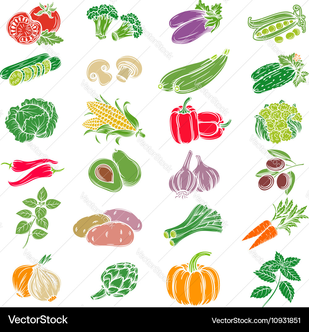 Set of Vegetable Icons Royalty Free Vector Image