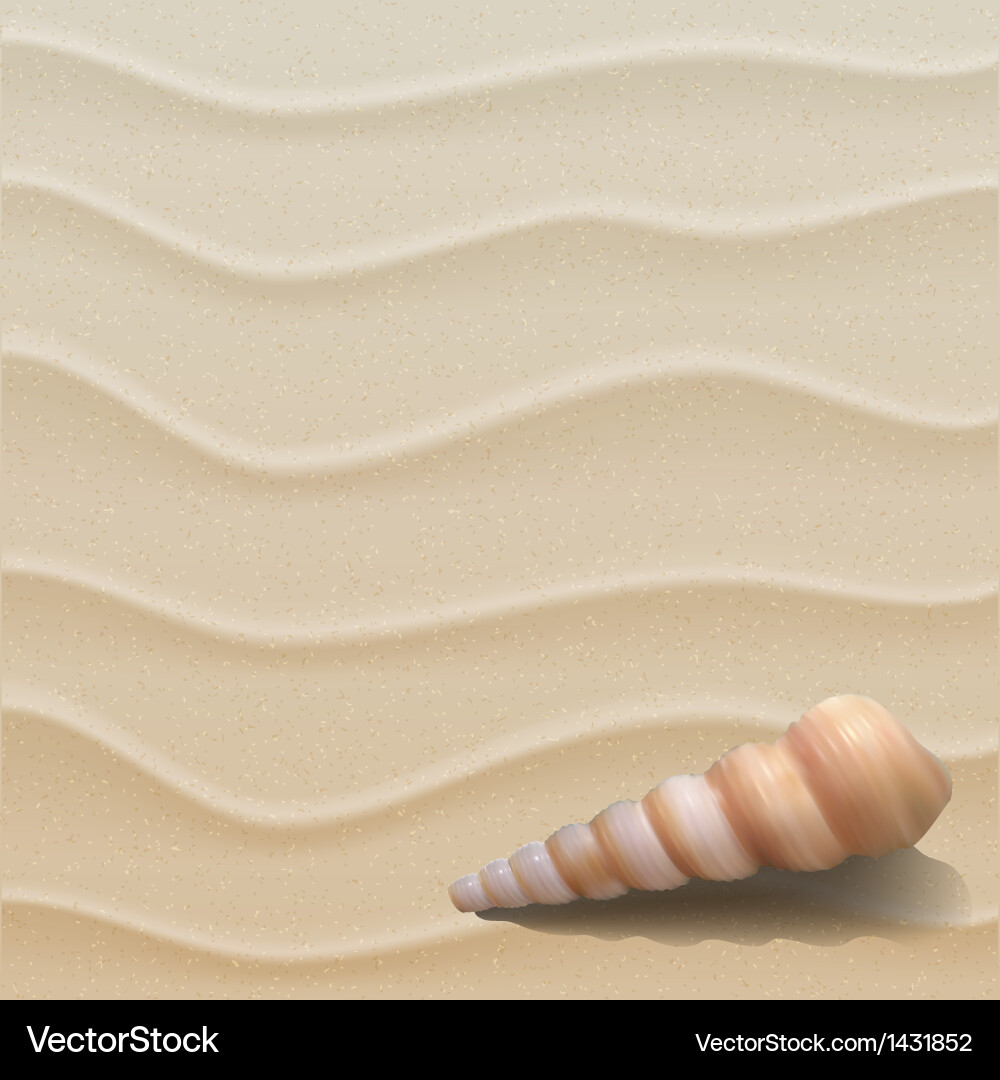 Marine background with seashell on sand Royalty Free Vector