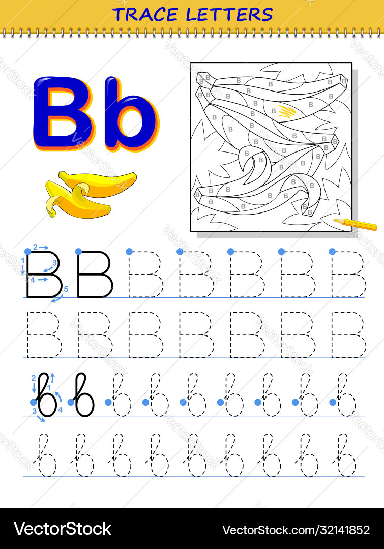 Tracing letter b for study alphabet printable Vector Image