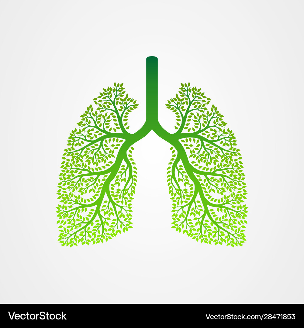 Tree branches with leaves shaped like human lungs Vector Image