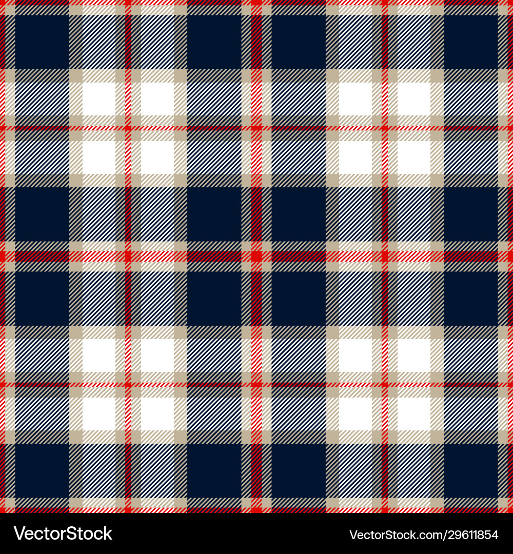 Blue and red tartan plaid scottish pattern Vector Image