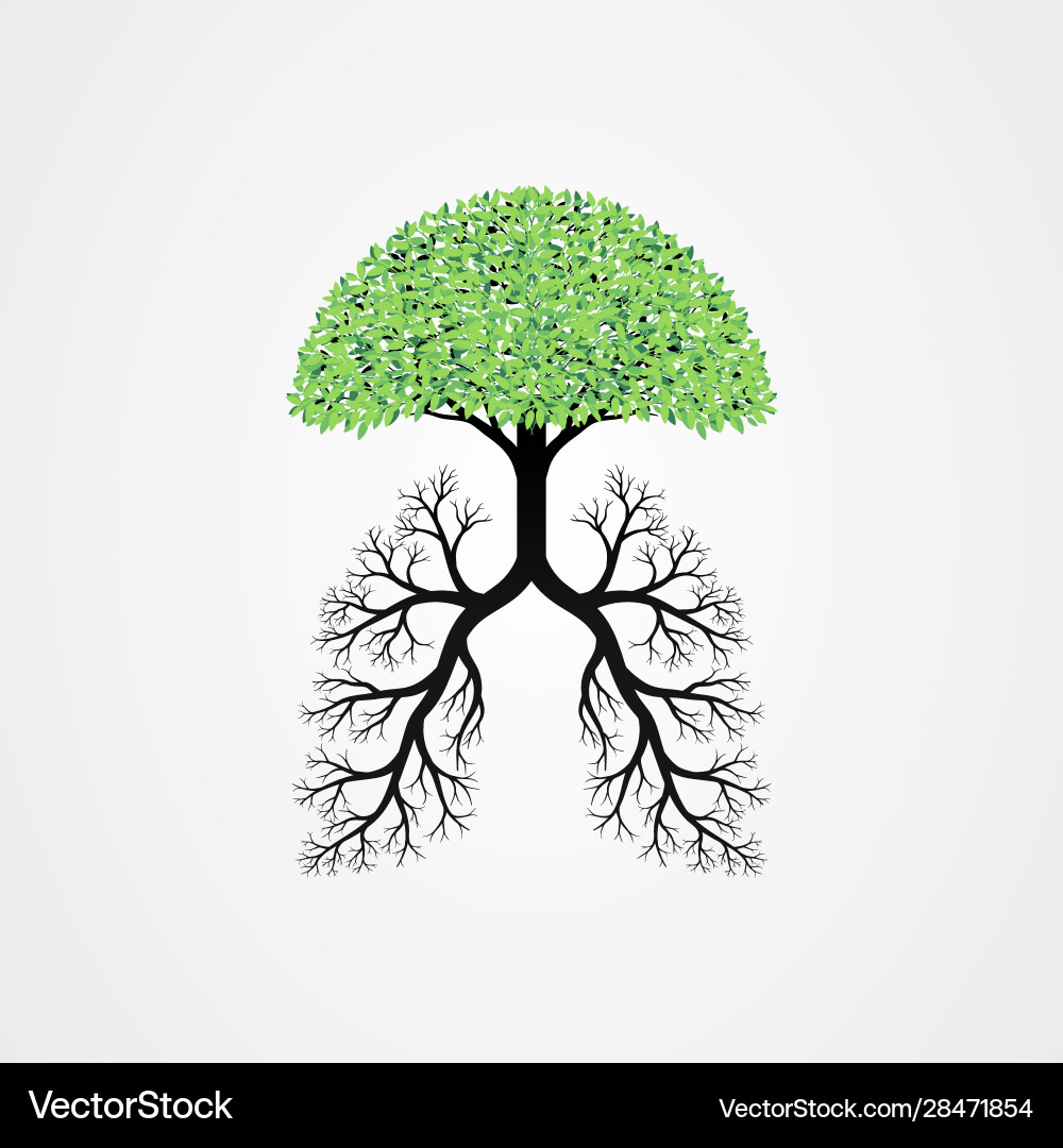 Lungs Leaves Vector Images (over 330)