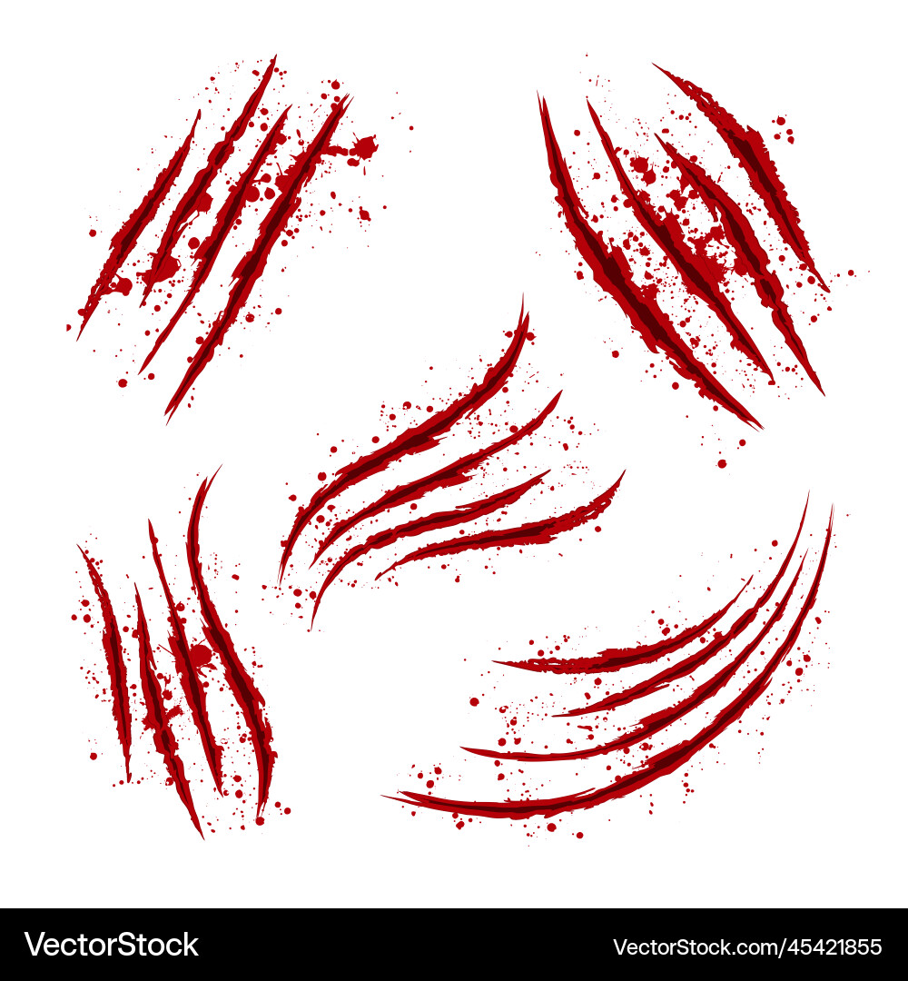 Blood Claw Scratches - Monster Wound Set Vector Image