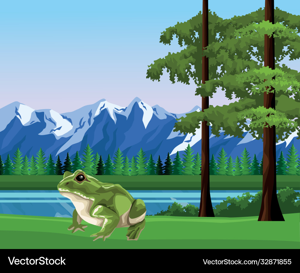 Frog animal in landscape scene Royalty Free Vector Image
