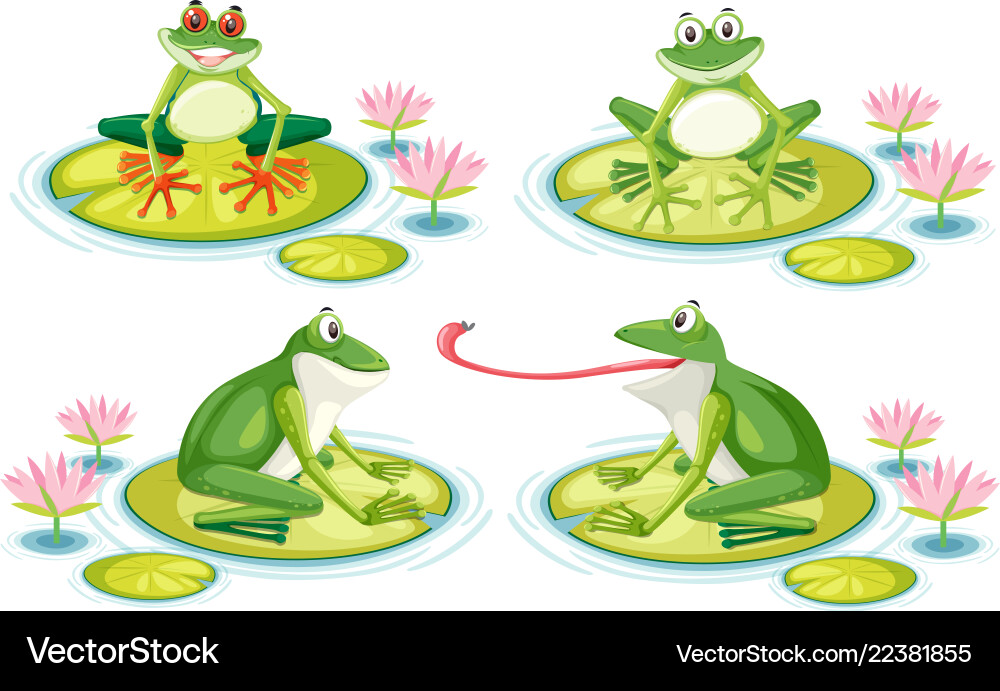 Set of frog on lotus pad Royalty Free Vector Image