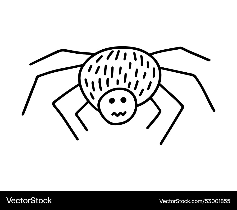 Spider Royalty Free Vector Image - VectorStock