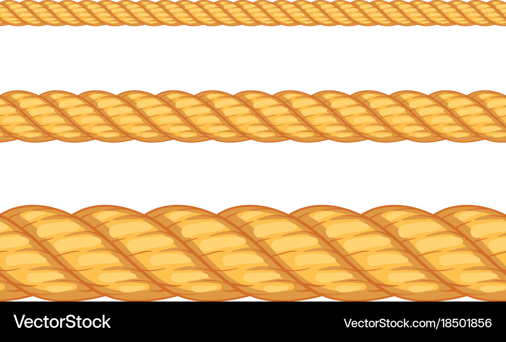Seamless rope Royalty Free Vector Image - VectorStock
