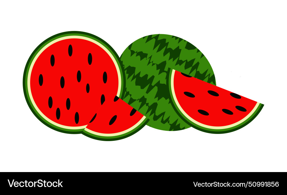 Watermelon design Royalty Free Vector Image - VectorStock