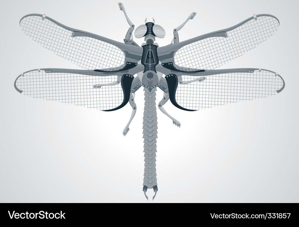 Dragonfly Royalty Free Vector Image - VectorStock