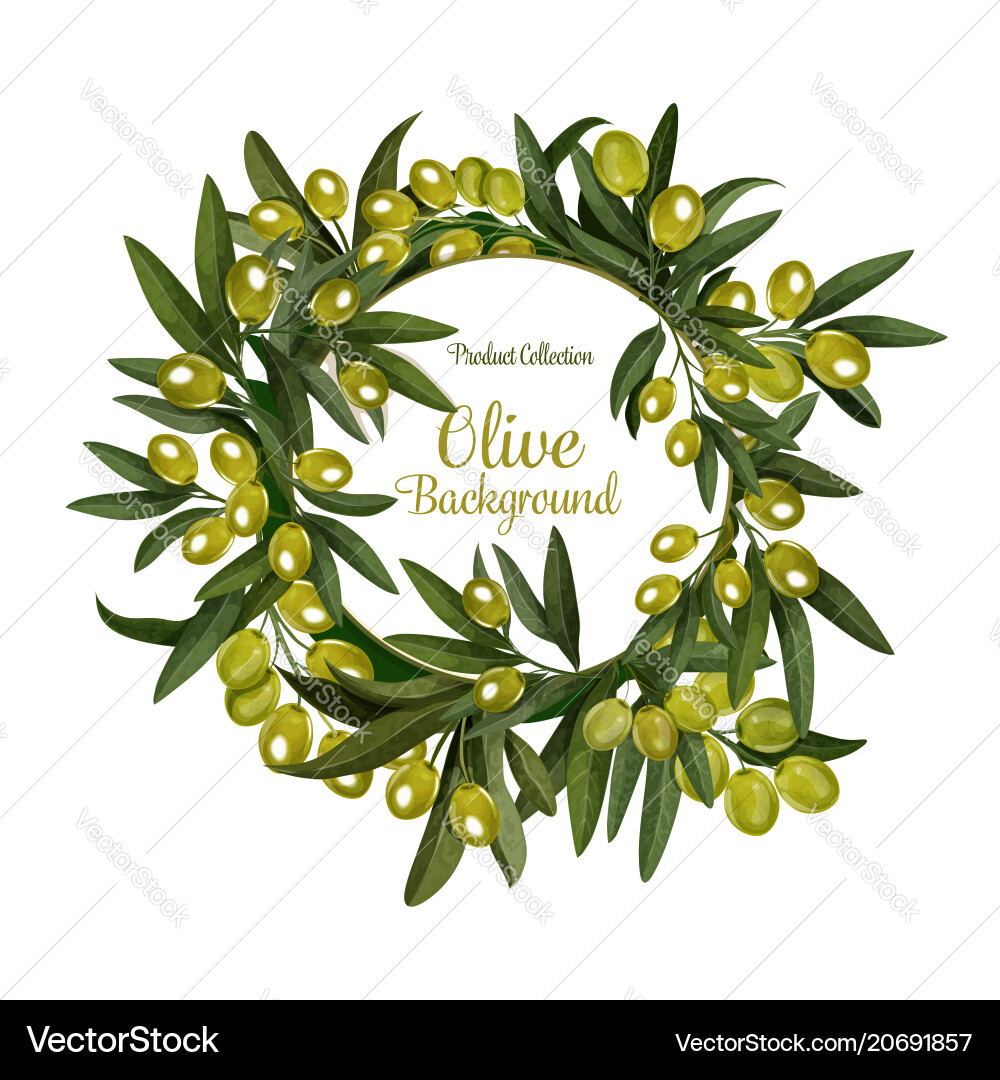 Green Olive Bunch Background Royalty Free Vector Image