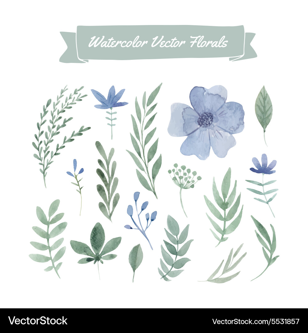 Watercolor flowers Royalty Free Vector Image - VectorStock