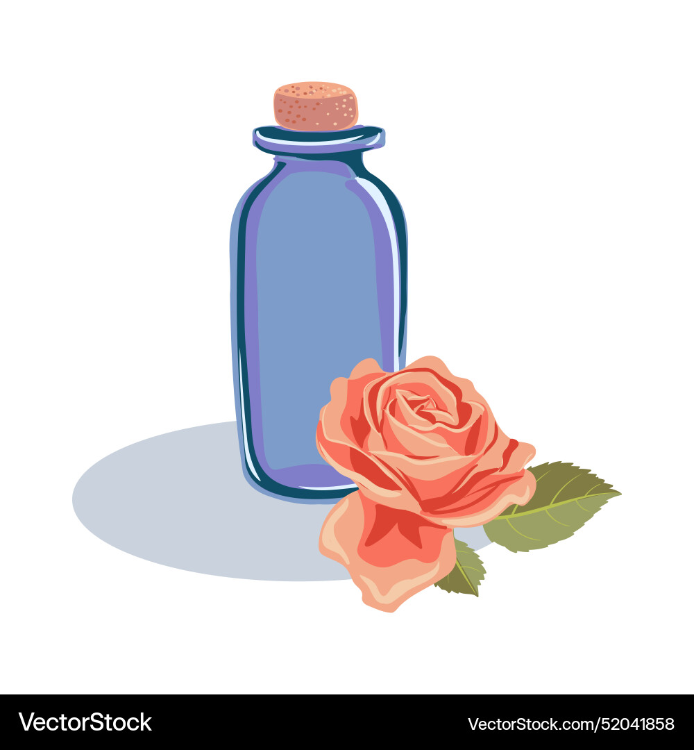 Drawing glass perfume bottle and flower Royalty Free Vector