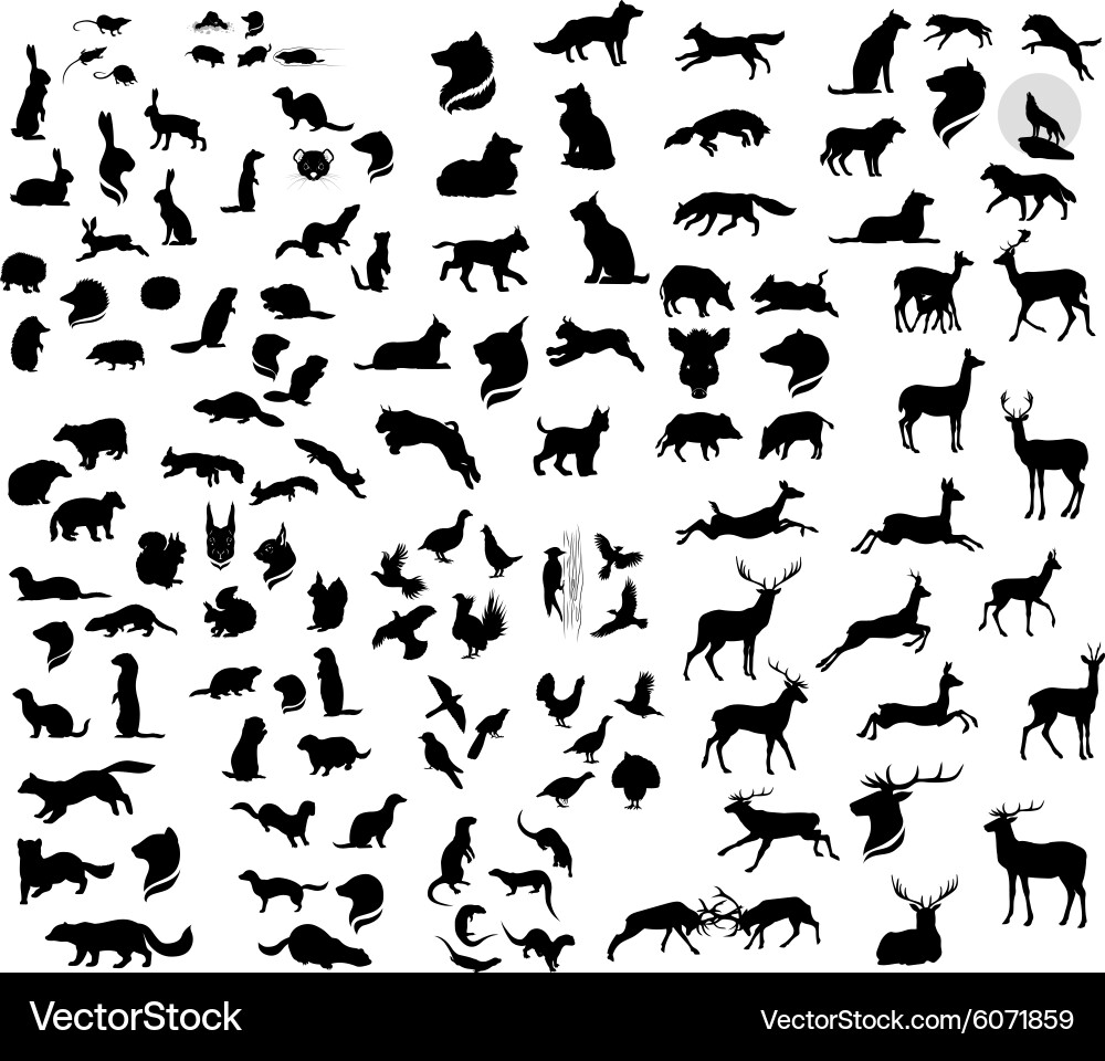 Big set of forest animals silhouettes Royalty Free Vector