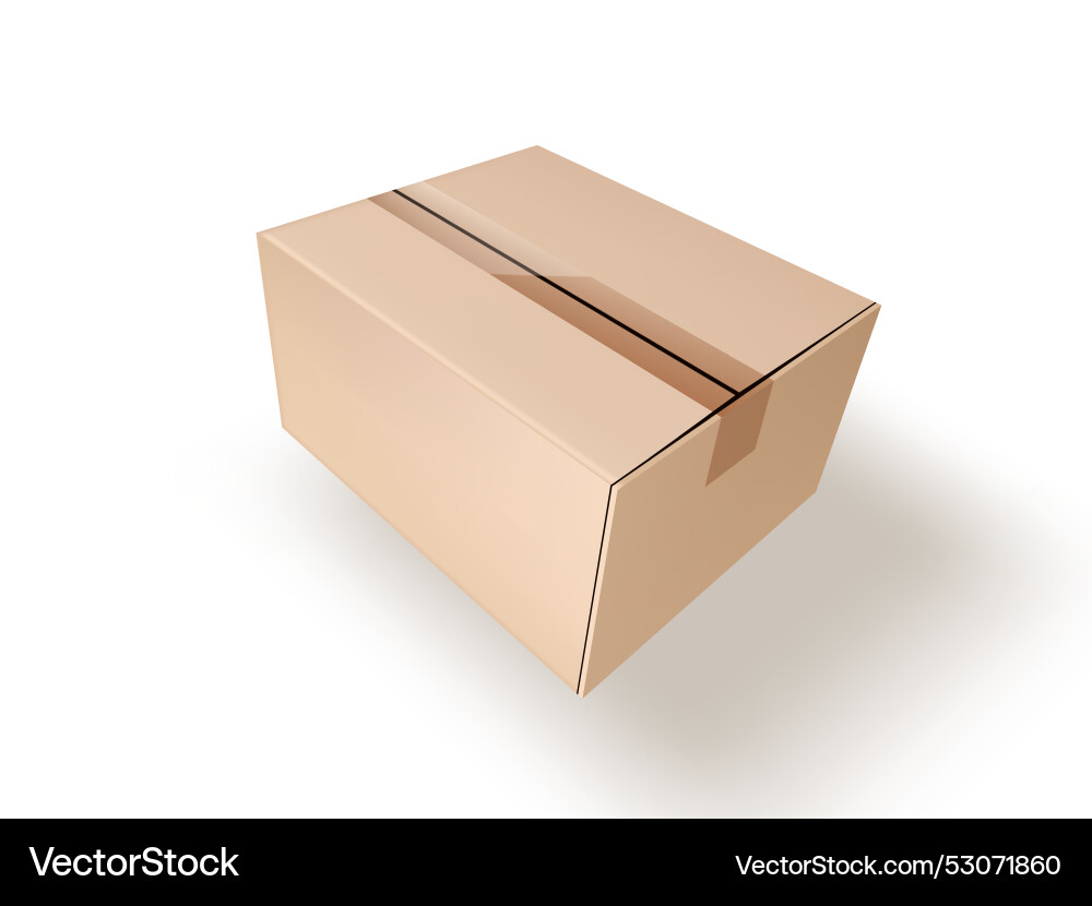 3d closed cardboard box flying isolated on white Vector Image