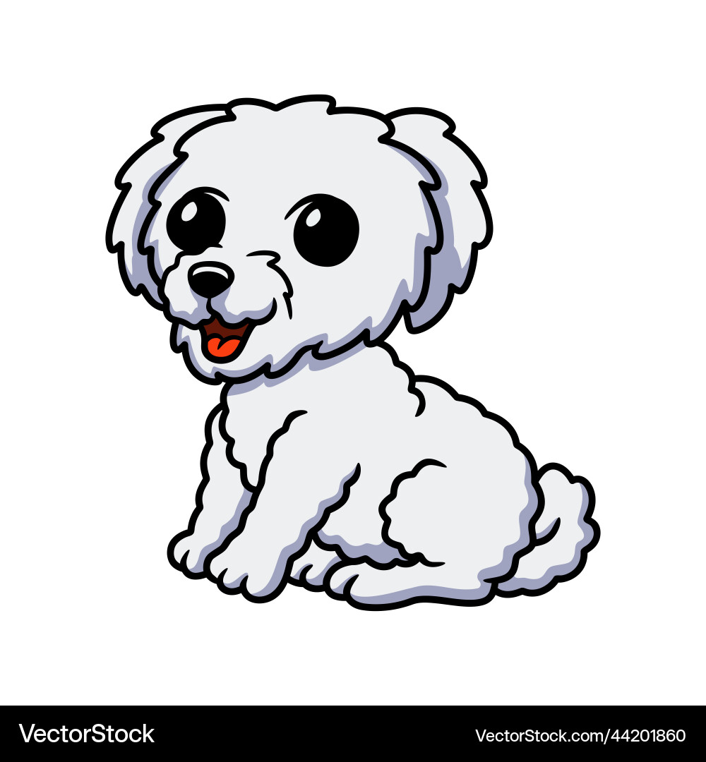 Cute bichon frise cartoon sitting Royalty Free Vector Image