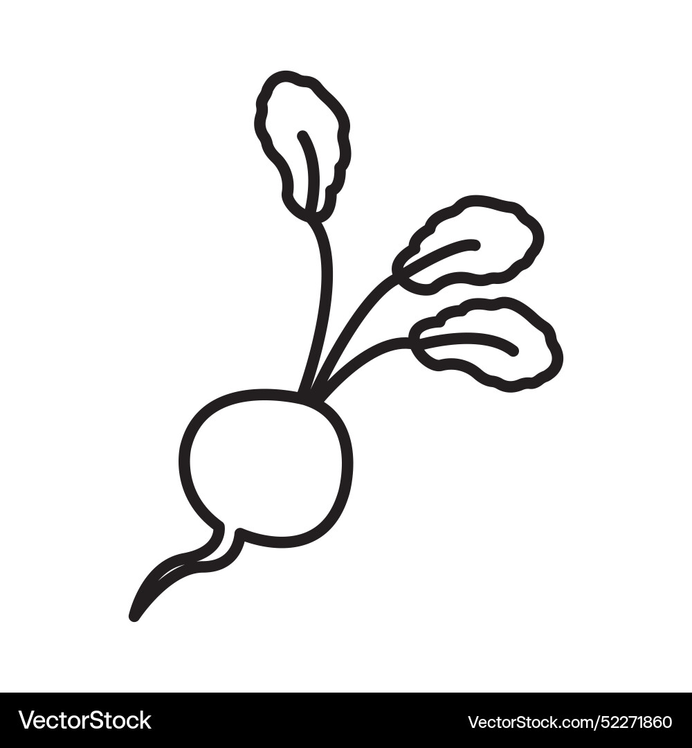 Radish icon black line art logo Royalty Free Vector Image