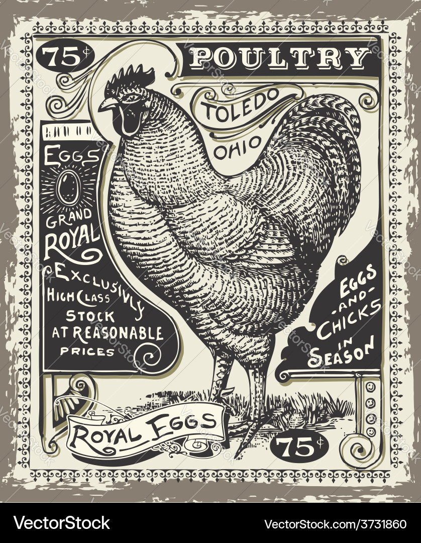 Vintage poultry and eggs advertising page Vector Image