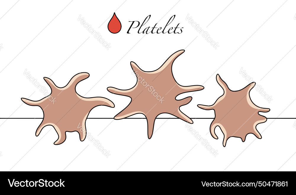 Platelets blood cells color Royalty Free Vector Image