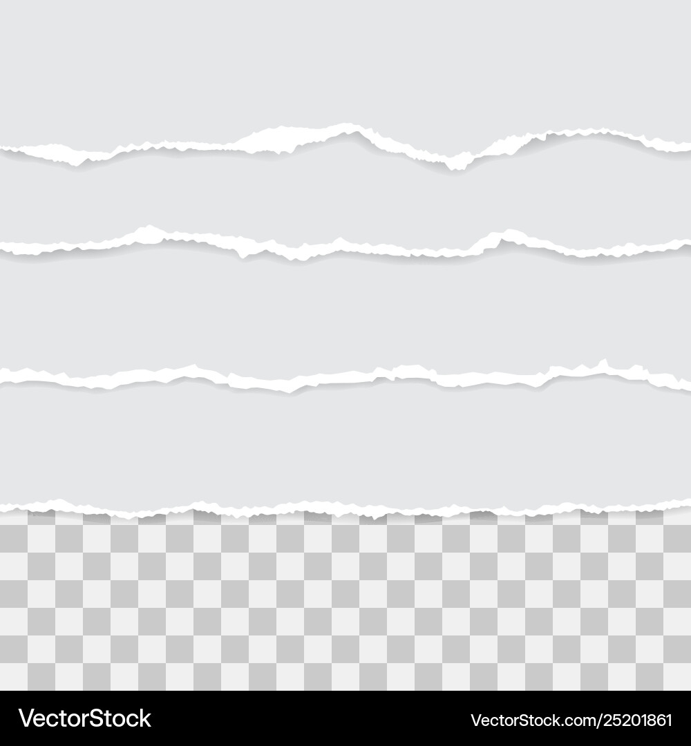 Set white torn paper with shadows Royalty Free Vector Image
