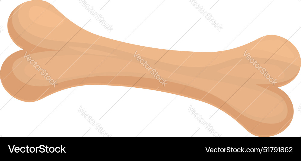 Cartoon bone lying isolated on white background Vector Image