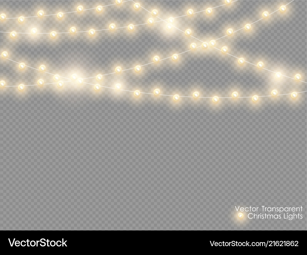 Christmas lights isolated on transparent Vector Image