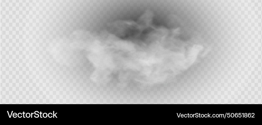Transparent special effect stands out with fog Vector Image
