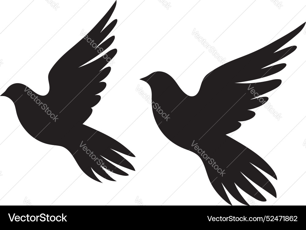 Wings of unity dove pair logo eternal elegance Vector Image