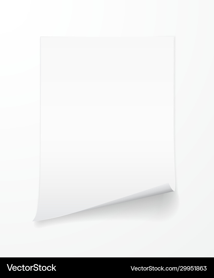 Blank a4 sheet white paper with curled corner Vector Image
