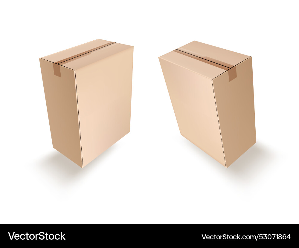 3d closed cardboard box flying isolated on white Vector Image