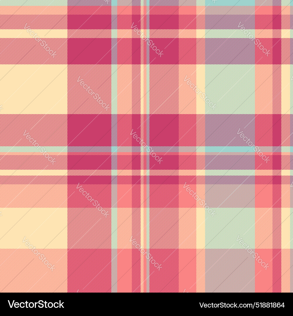 Ethnic check pattern textile ceremony tartan Vector Image