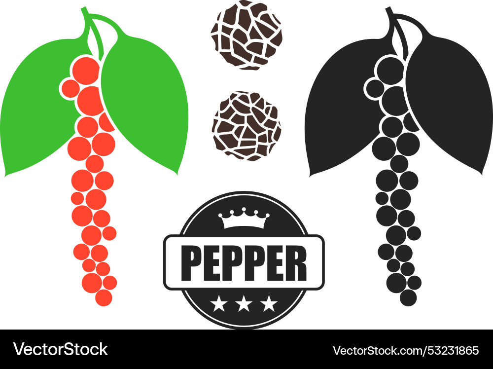 Black pepper Royalty Free Vector Image - VectorStock