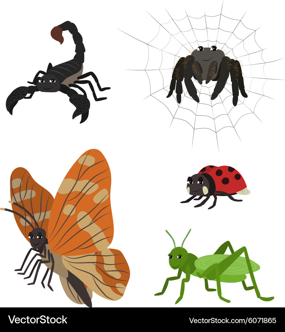 Cartoon set scorpion spider butterfly ladybug Vector Image
