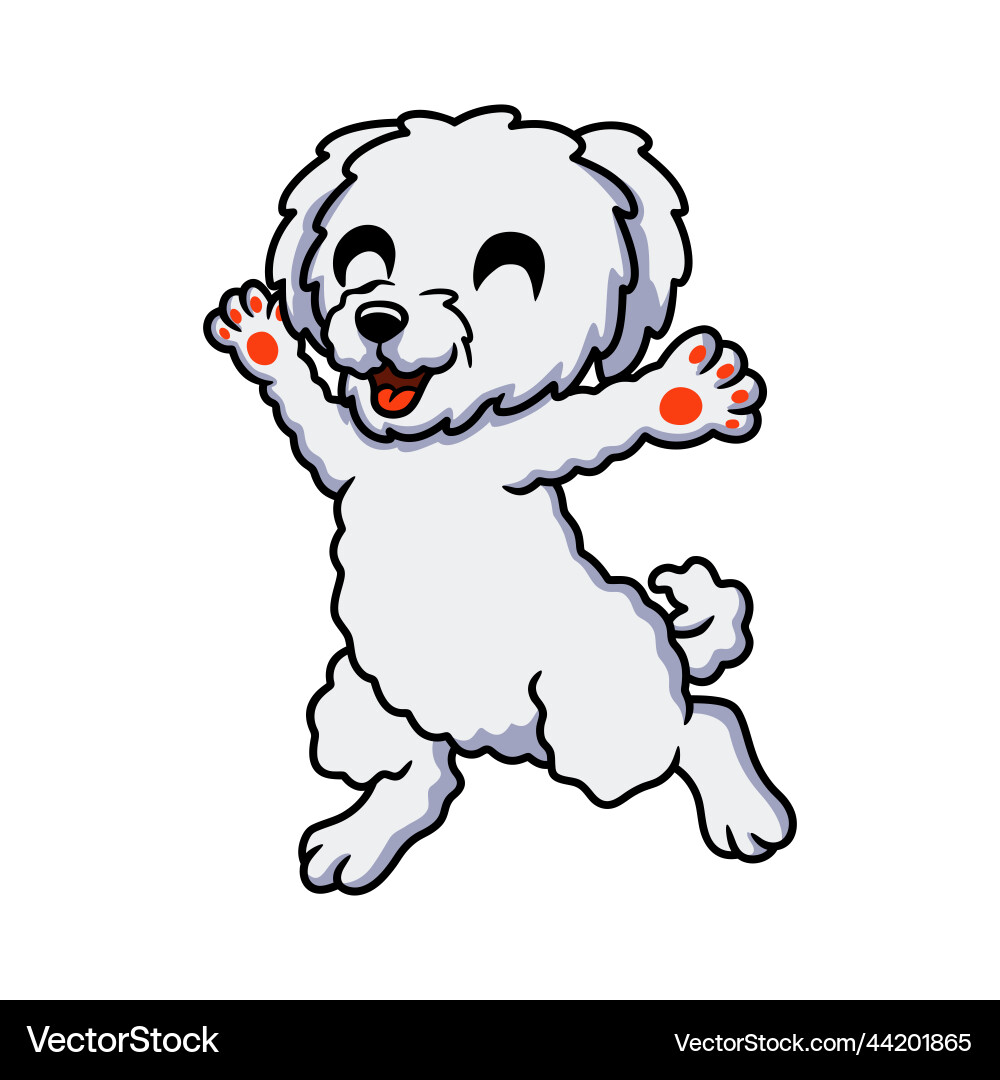 Cute bichon frise cartoon walking Royalty Free Vector Image