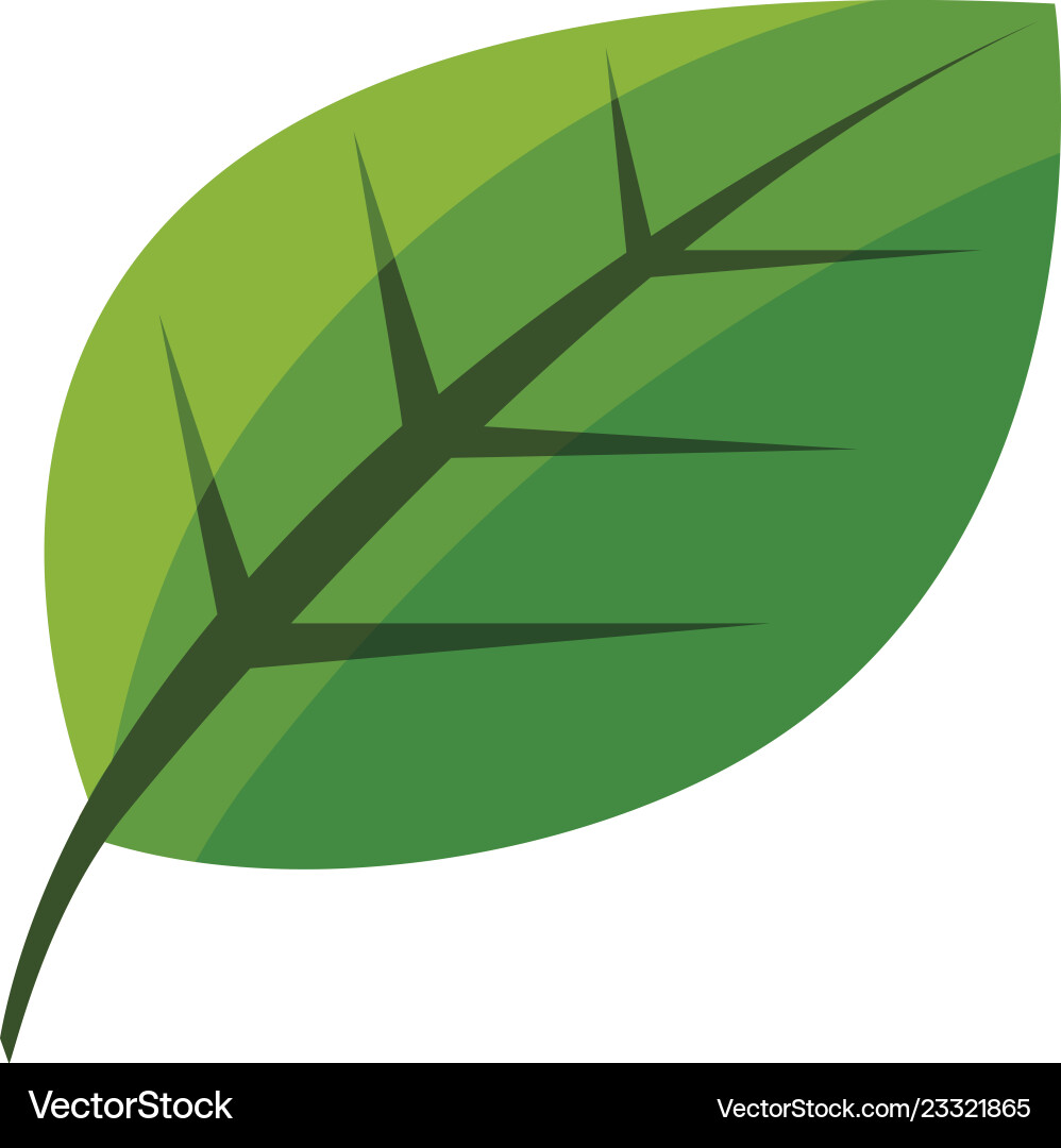 Leaf icon image Royalty Free Vector Image - VectorStock