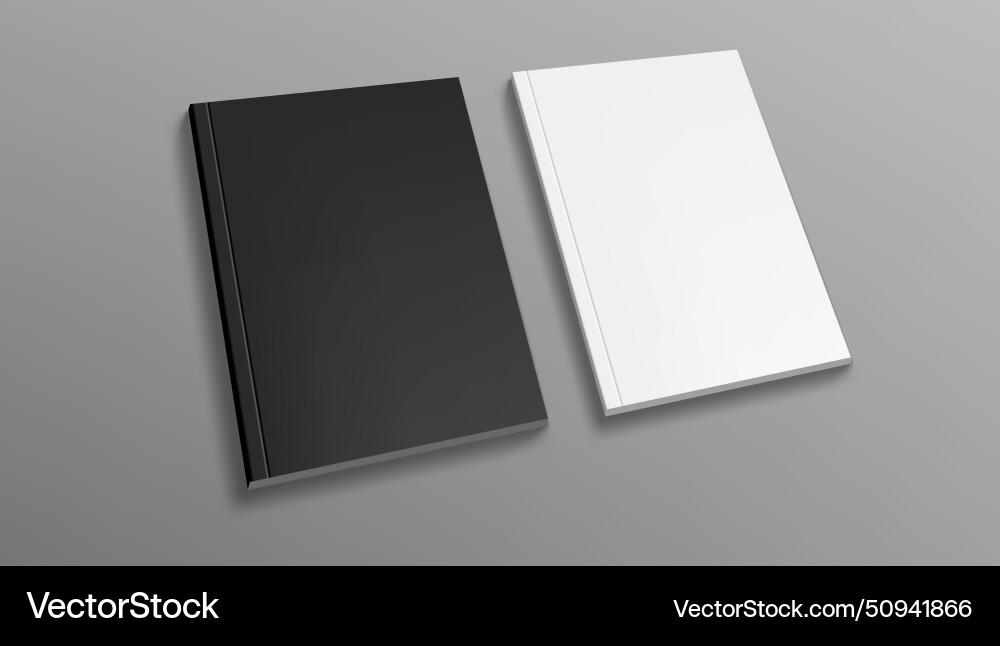 3d two blank magazines front and back cover Vector Image 3d two blank magazines front and back cover Vector Image