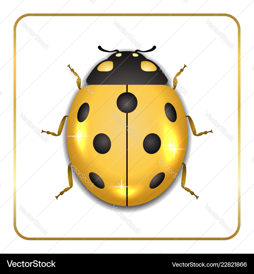 Ladybug gold insect small icon Royalty Free Vector Image