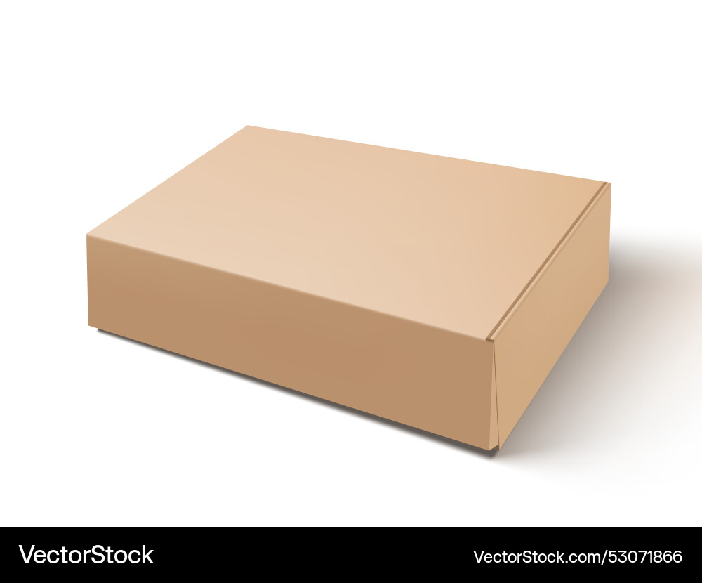 Open brown paper cardboard box isolated on white Vector Image