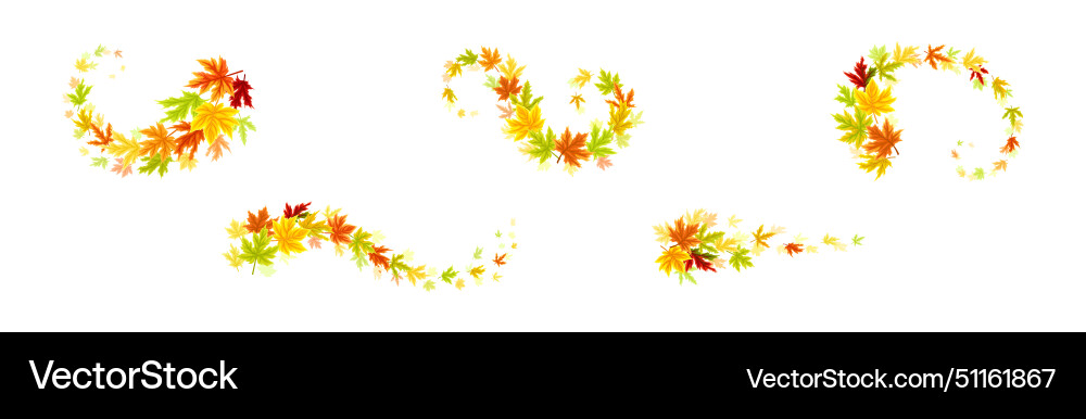 Autumn leaf and foliage nature curled element Vector Image