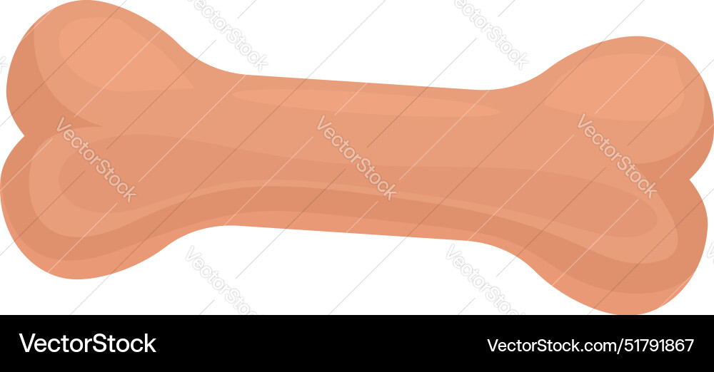 Dog bone lying horizontally isolated on white Vector Image
