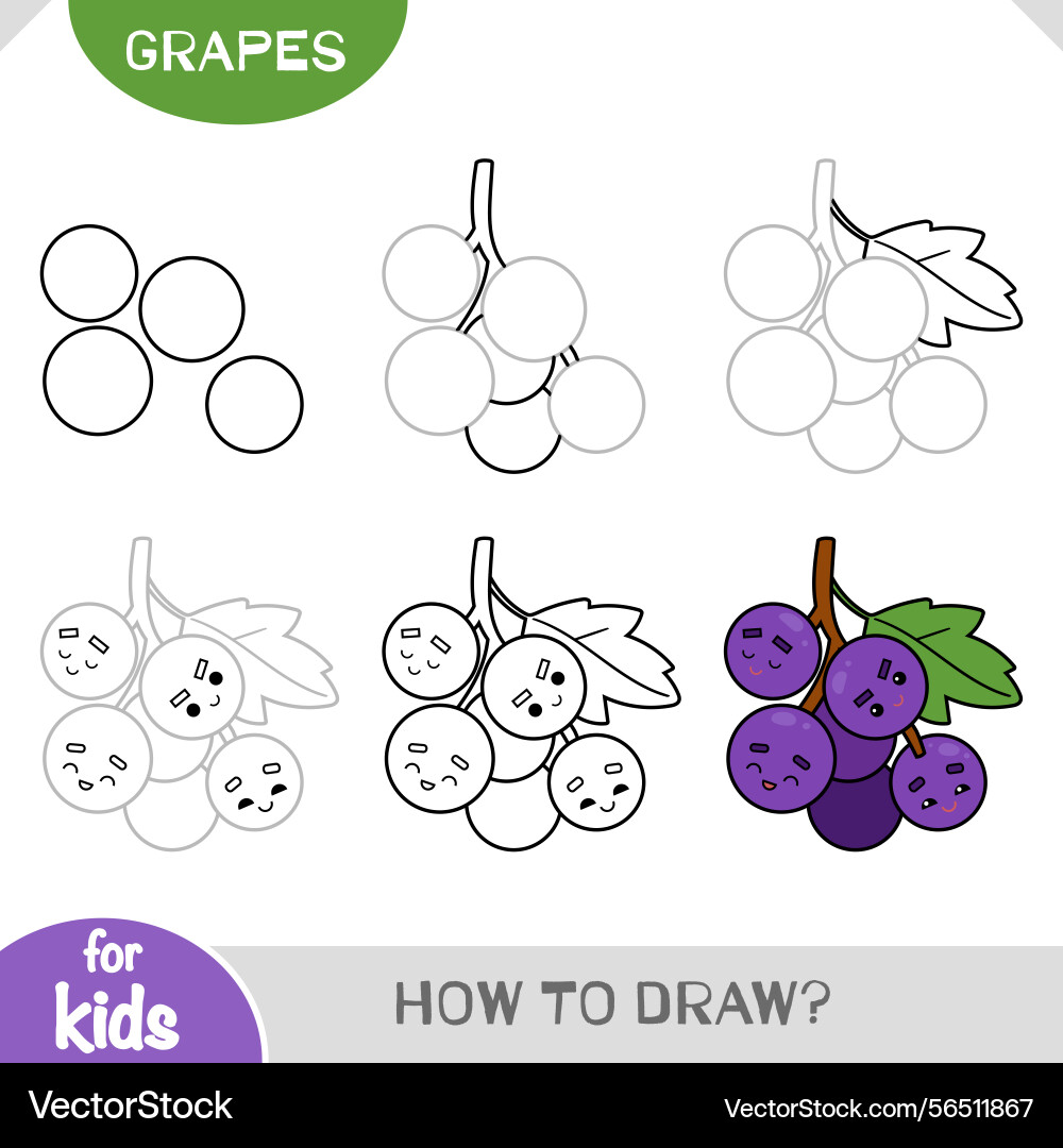 How to draw grapes for children step Royalty Free Vector