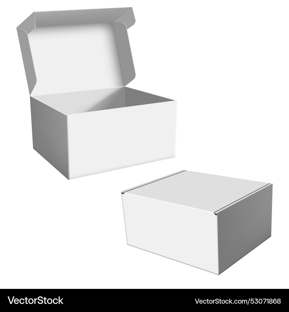 3d cardboard packaging box with open lid Vector Image